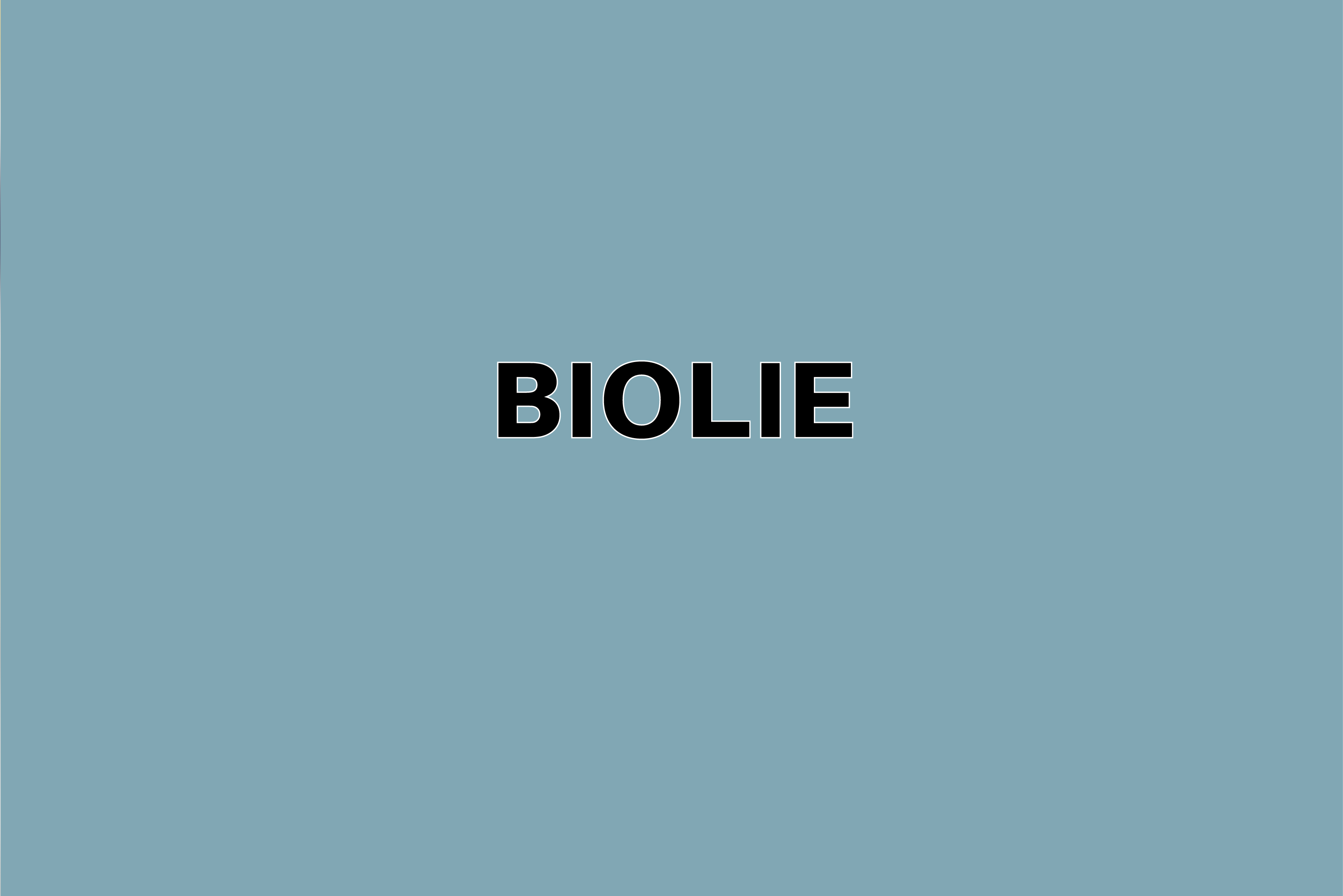 BIOLIE - Cosmetic Experience Cosmetic Experience